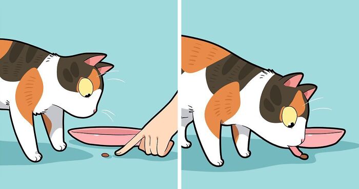 Artist Illustrates What It’s Like To Live With A Cat (30 New Pics)