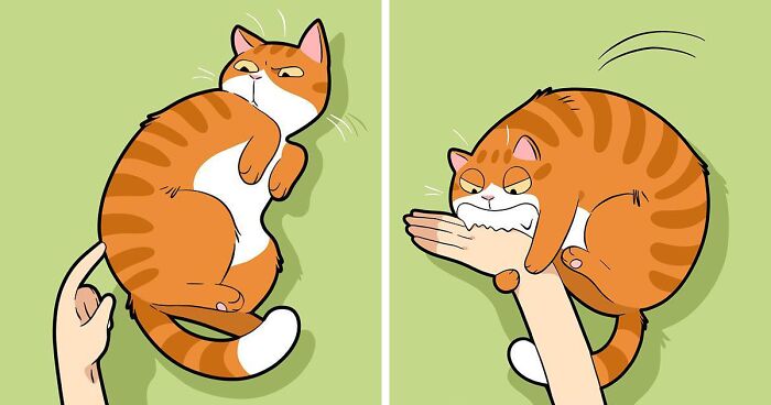 Artist Illustrates What It’s Like To Live With A Cat (30 New Pics)