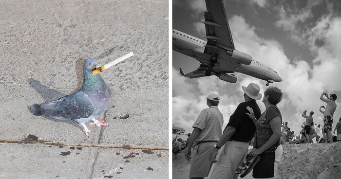 Here Are 50 Of The Most Interesting Images Selected By This Instagram ...