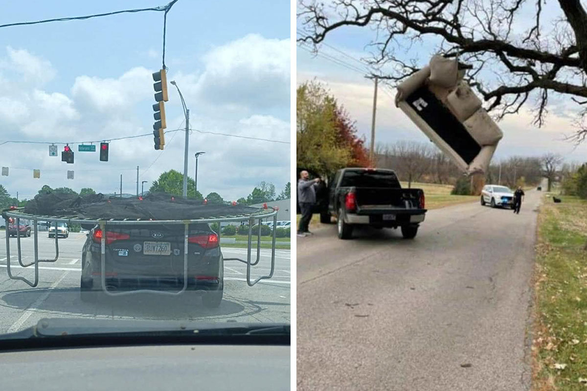 50 ‘Things In Places They Shouldn’t Be’ To Make Your Day Better (New ...