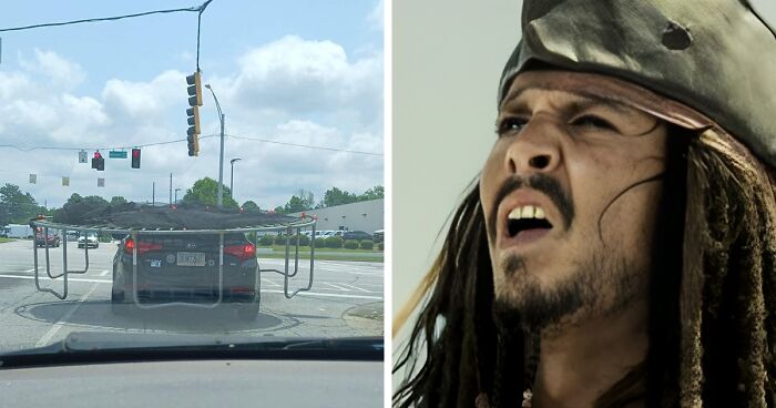 50 ‘Things In Places They Shouldn’t Be’ To Make Your Day Better (New Pics)