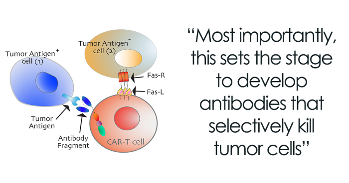 “Science Wins Again”: Scientists Find Groundbreaking “Switch” That Can ...