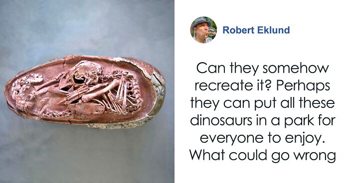 Scientists Unveil “Most Complete Dinosaur Embryo Ever,” Solving ...