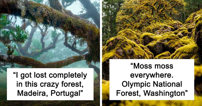 50 Photos Of Mother Earth From This Online Page That Prove Nature Is ...