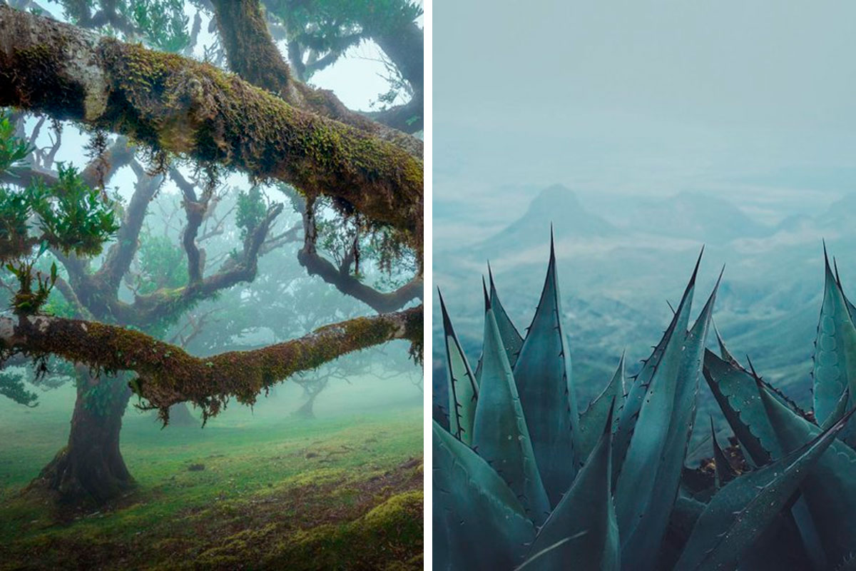 50 Photos Of Mother Earth From This Online Page That Prove Nature Is ...