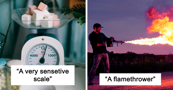“What Is Suspicious To Own But Not Illegal?”: 30 People Share What ...