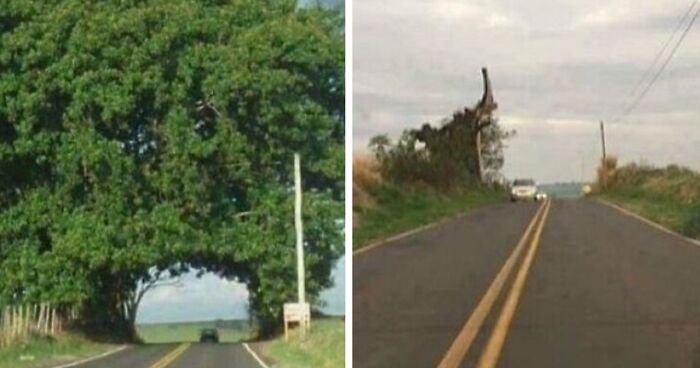 This X Page Is Sharing ‘Then And Now’ Pics, Here Are 50 Of The Most ...