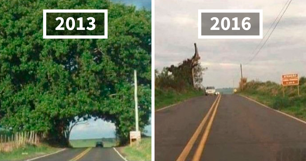 This X Page Is Sharing ‘Then And Now’ Pics, Here Are 50 Of The Most ...