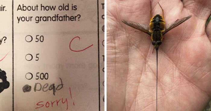 50 Times People Found Such Weird And Surprising Things, They Just Had ...