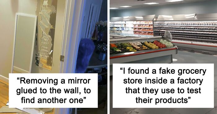 50 Times People Found Such Weird And Surprising Things, They Just Had ...