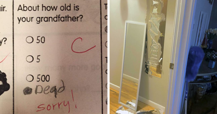 50 Times People Found Such Weird And Surprising Things, They Just Had ...