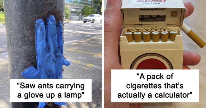 50 Times People Found Such Weird And Surprising Things, They Just Had ...