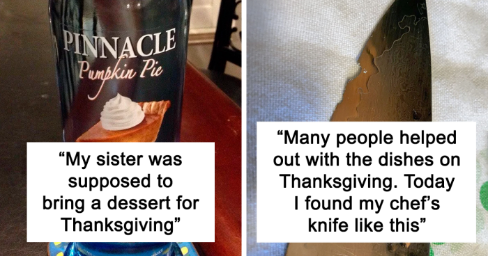 50 People Who Had A Terrible Time During Thanksgiving (New Pics ...