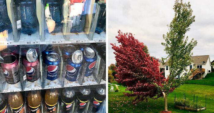 50 Crazy Pics Of Mother Nature Doing Things On Its Own Terms (New Pics ...