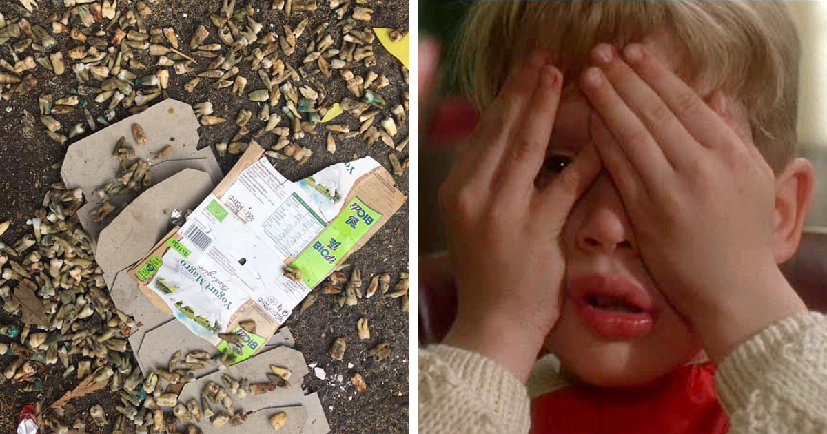 33 Images Of Most Creepy Things People Have Came In Contact In Their ...