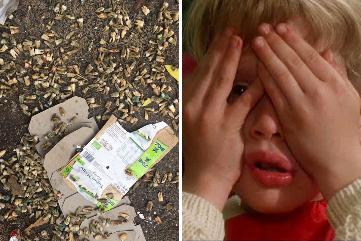 33 Images Of Most Creepy Things People Have Came In Contact In Their ...