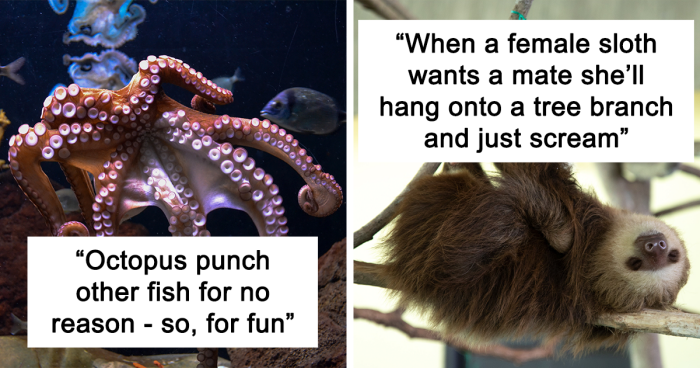 28 People Share The Weirdest Animal Facts They Know