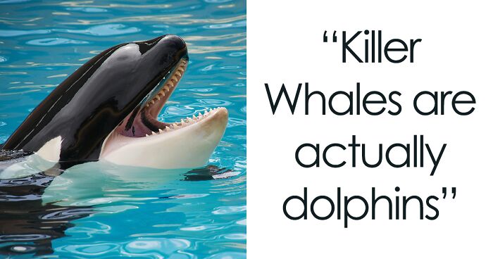 28 People Share The Weirdest Animal Facts They Know