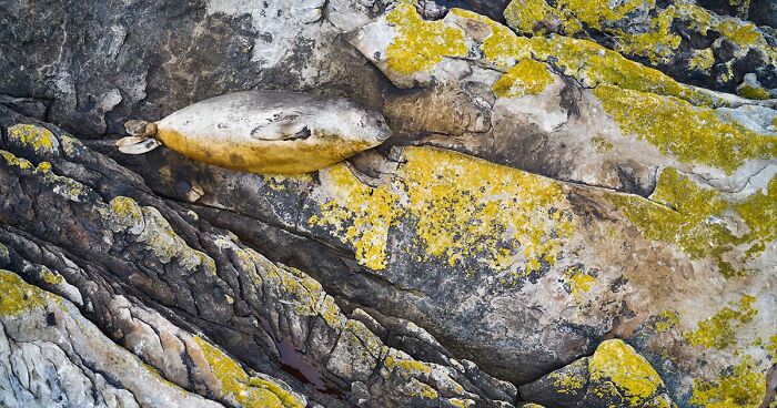 The German Society For Nature Photography Has Chosen The Best Wildlife ...
