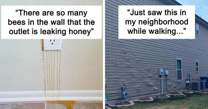 Home Inspectors Share The Funniest And Most Questionable Things They’ve ...