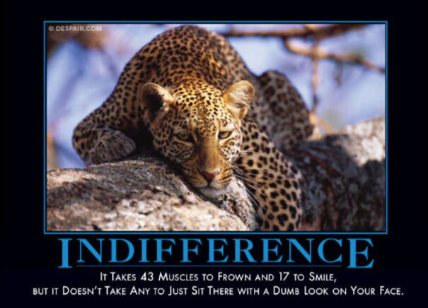 25 ‘Worst’ Demotivational Posters That Entered A Challenge Created By ...