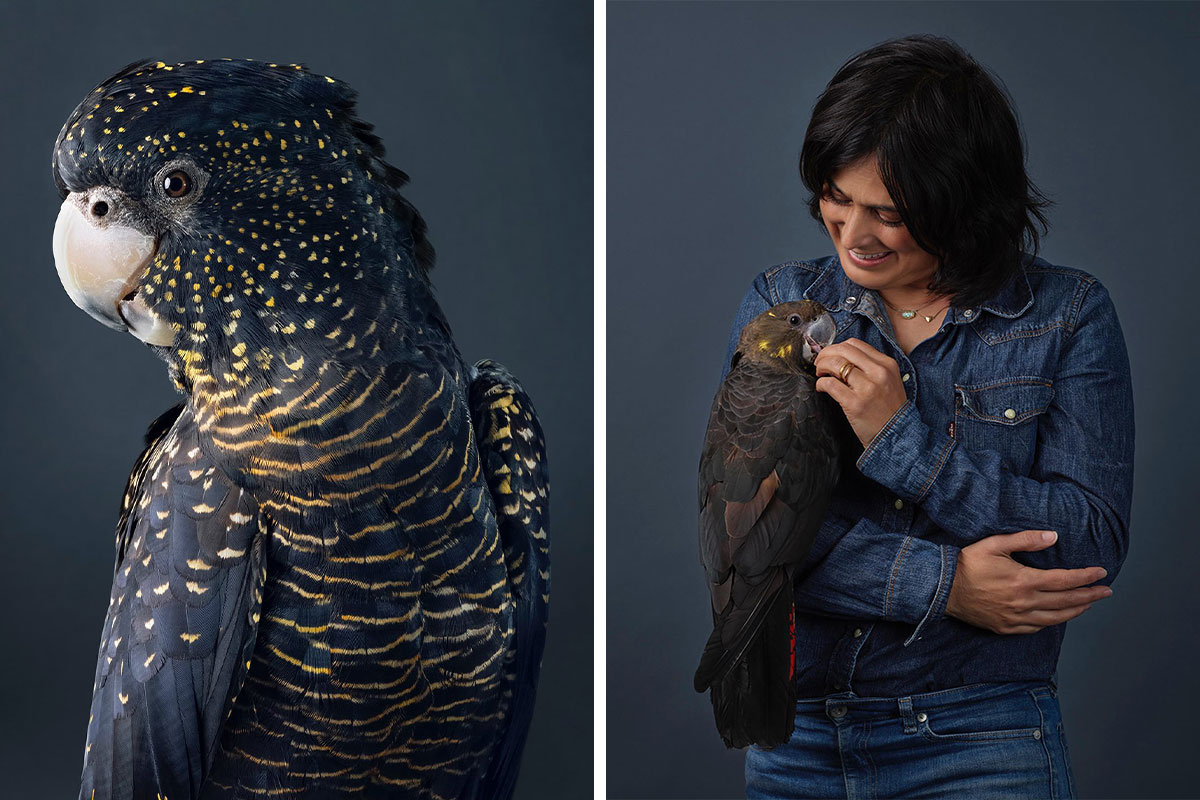 Professional Photographer Captures Perfectly Posed Birds In Her Photo ...