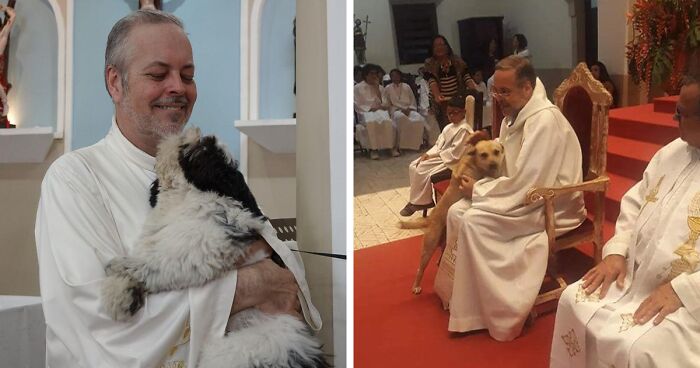 Loving Priest Turns Church Services Into Adoption Fairs For Stray Dogs ...