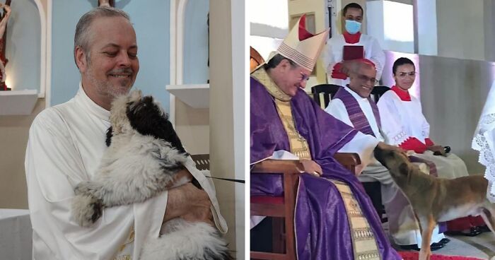 Loving Priest Turns Church Services Into Adoption Fairs For Stray Dogs ...