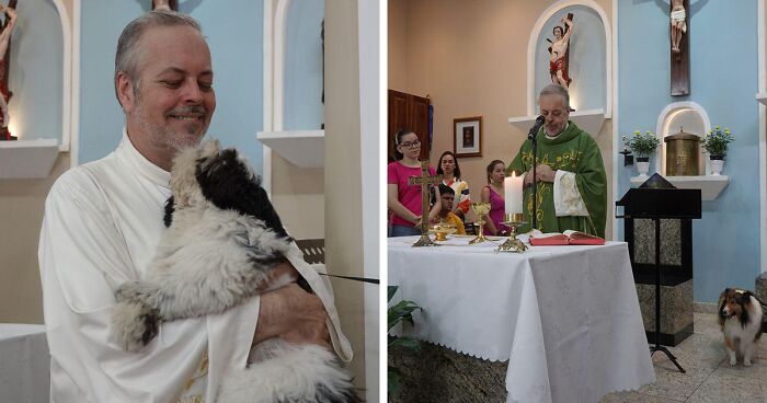 Loving Priest Turns Church Services Into Adoption Fairs For Stray Dogs ...