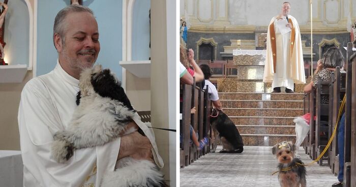 Loving Priest Turns Church Services Into Adoption Fairs For Stray Dogs ...