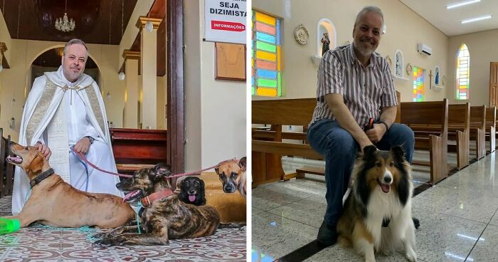 Loving Priest Turns Church Services Into Adoption Fairs For Stray Dogs ...