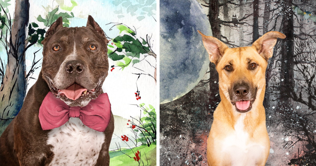 I Took 12 Portraits Of Dogs And Turned Them Into A Cute Calendar To ...