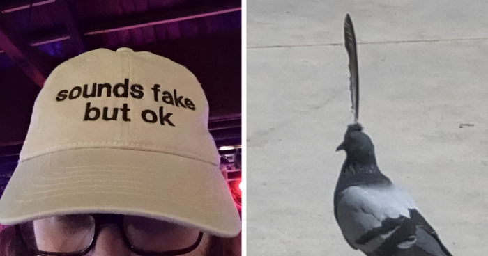 50 Amazing Hats That Might Make You Laugh