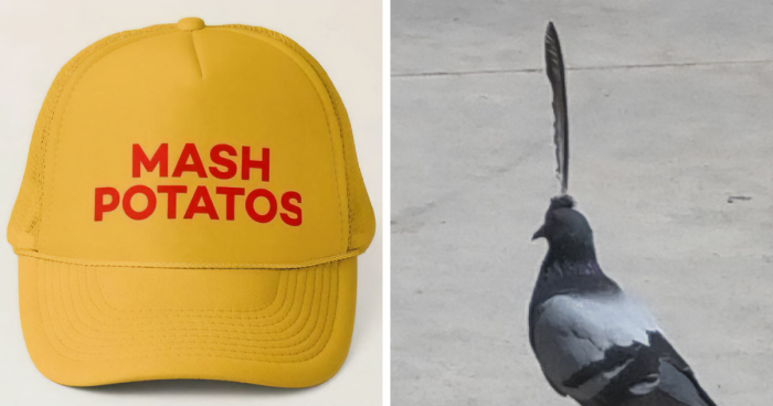 50 Amazing Hats That Might Make You Laugh
