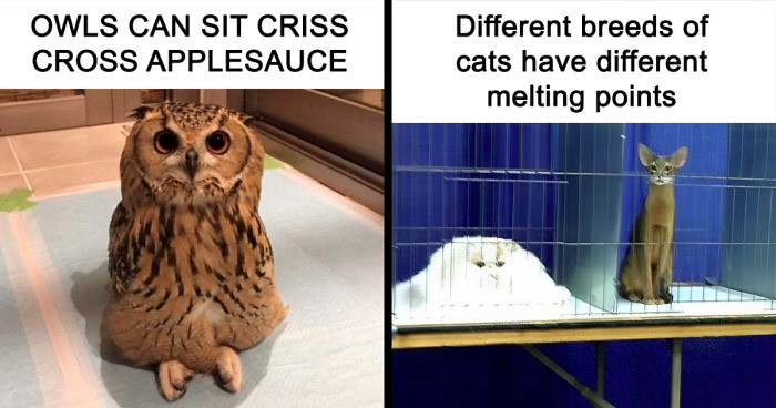 This Online Page Explores “The Darker Side Of Science”, And Here Are 40 ...
