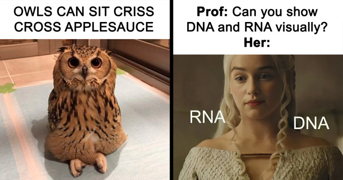 This Online Page Explores “The Darker Side Of Science”, And Here Are 40 ...