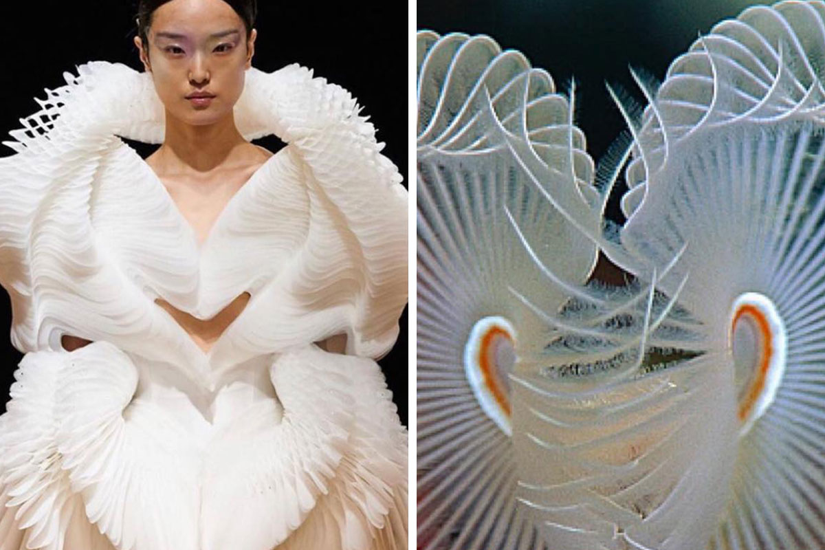 This Instagram Account Shows The Parallels Between Fashion And Nature ...