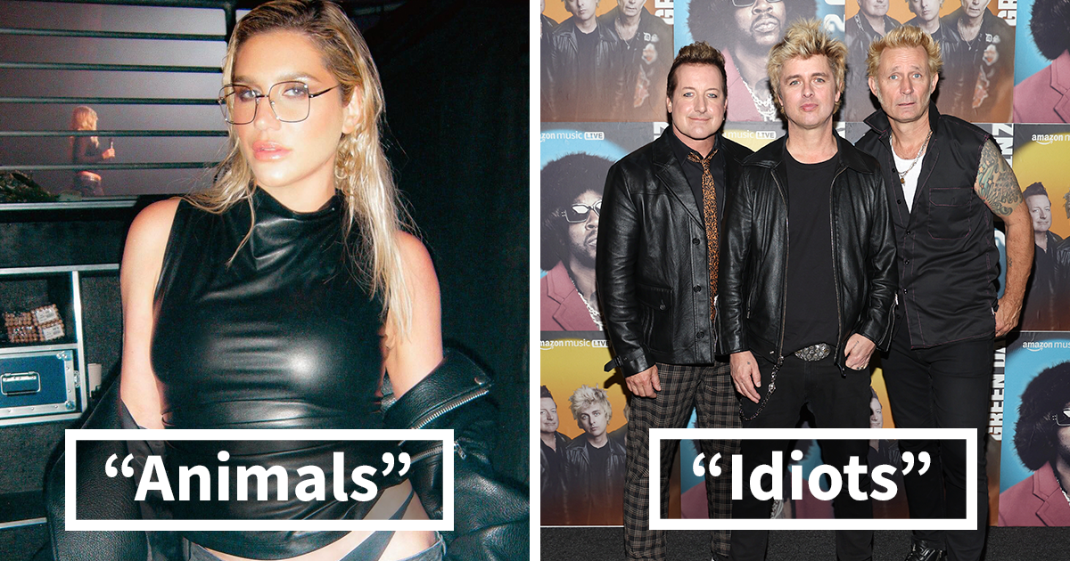 From “Animals” To “Idiots,” These Hilariously Cool Celebrity Fanbase ...