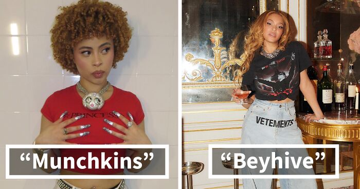 From “Animals” To “Idiots,” These Hilariously Cool Celebrity Fanbase ...