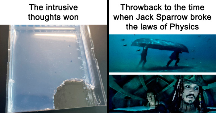 50 Hilarious Science Memes To Delight All You Brainiacs Out There (New ...