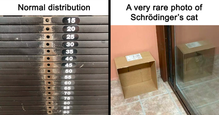 50 Hilarious Science Memes To Delight All You Brainiacs Out There (New ...