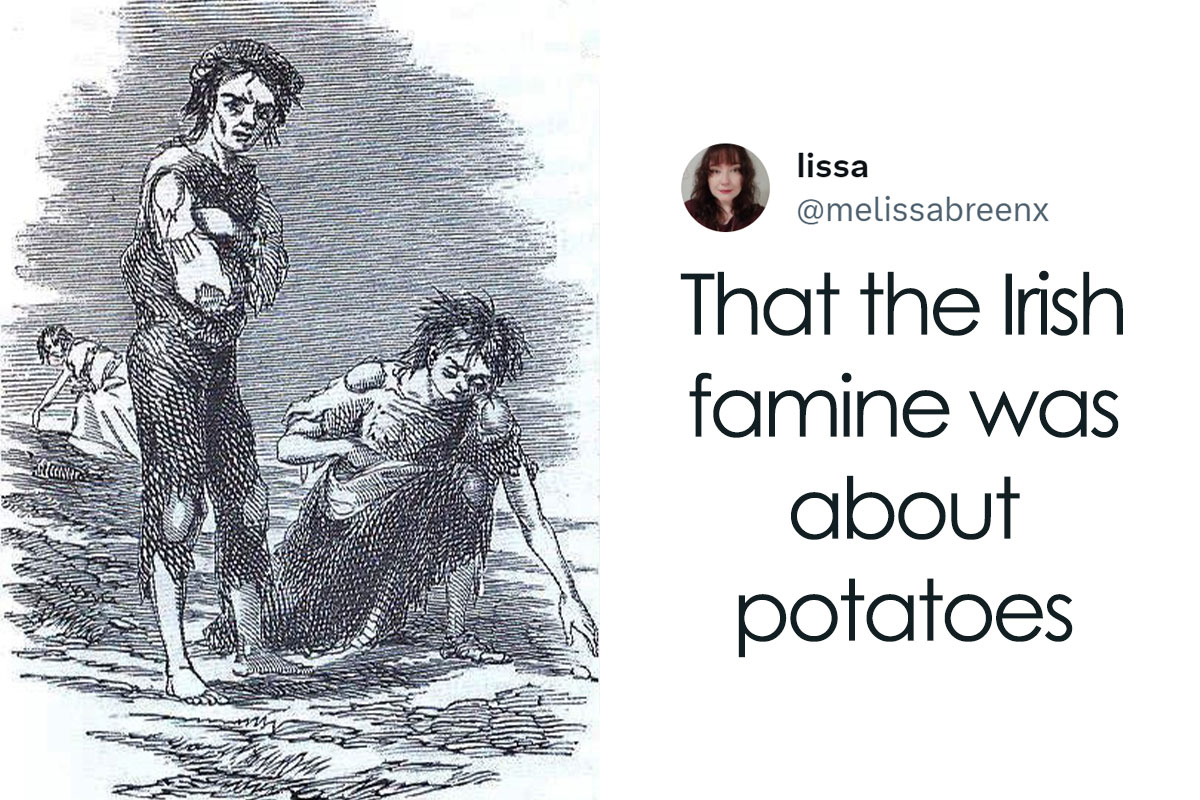 Someone Asks People To Share Common Historical Myths That Annoy Them ...