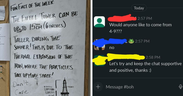 35 People Share Just How Annoying Their Coworkers Really Are | Bored Panda