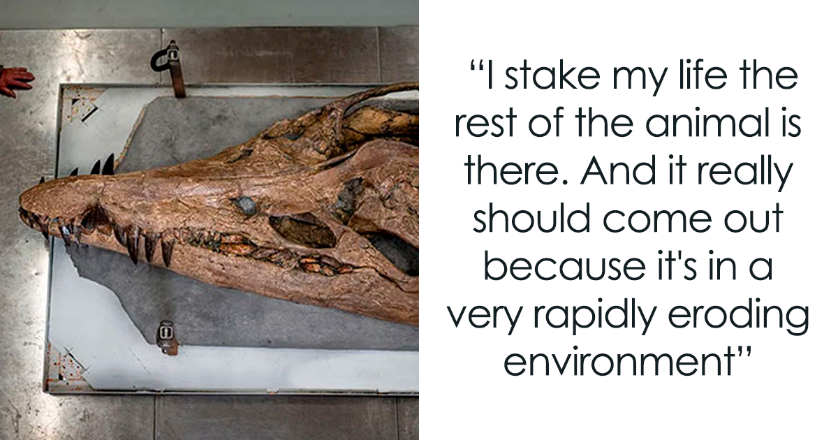 Men Discover Perfectly Preserved Skull Of Prehistoric Predator That ...