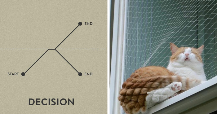 50 Random Images That Are Too Weird To Ignore, As Shared On This ...