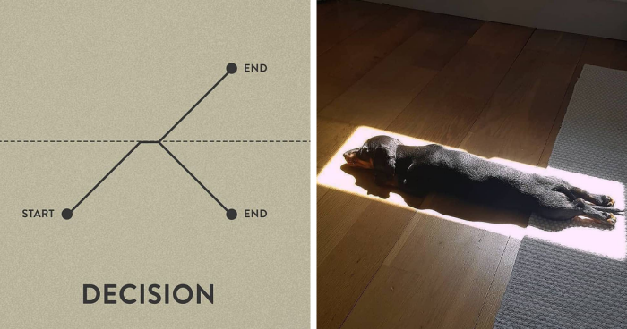 50 Random Images That Are Too Weird To Ignore, As Shared On This ...