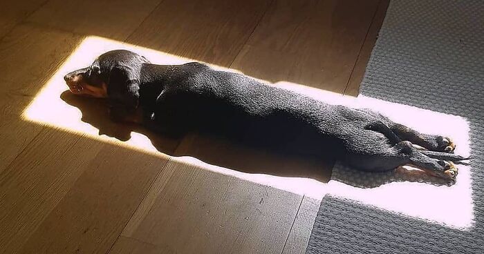 50 Random Images That Are Too Weird To Ignore, As Shared On This ...