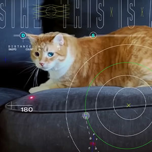 Scientific Cat Names For Your Purring Pet | Bored Panda