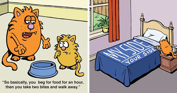 The Nature Of Cats: Artist Purrfectly Describes What Having A Cat Is ...