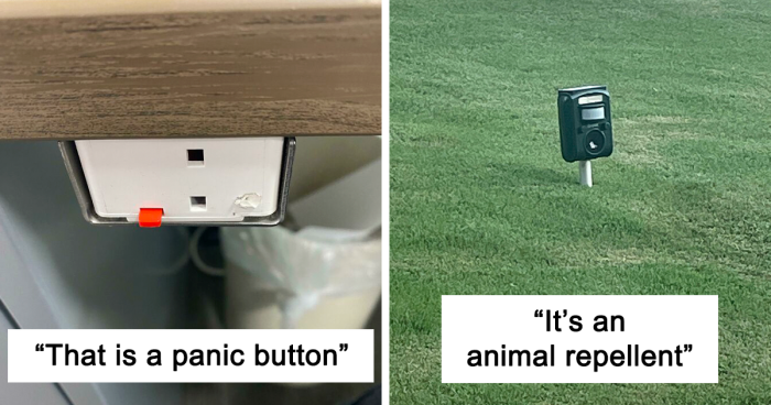 42 Times People Found Some Weird Things And Asked Strangers To Help ...